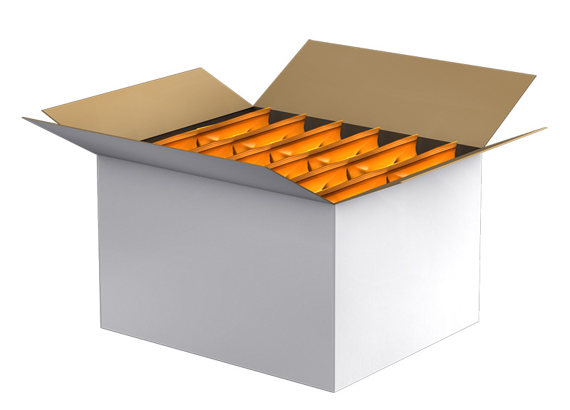 CASE PACKING OF BAGS WITH CHIPS – FOCKE & CO